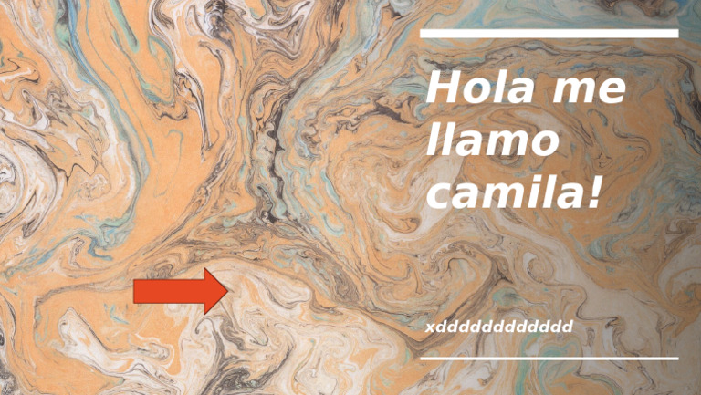 Hola Me Llamo Camila! | PDF