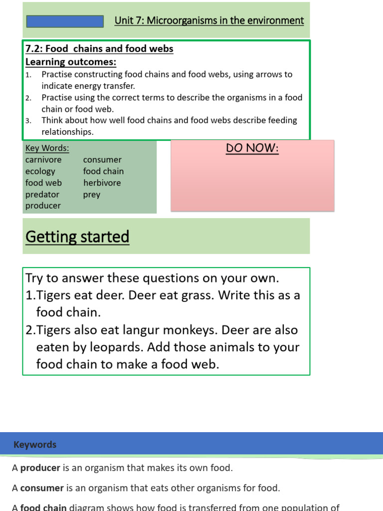 Understanding Food Chains and Webs | PDF | Food Web | Foods