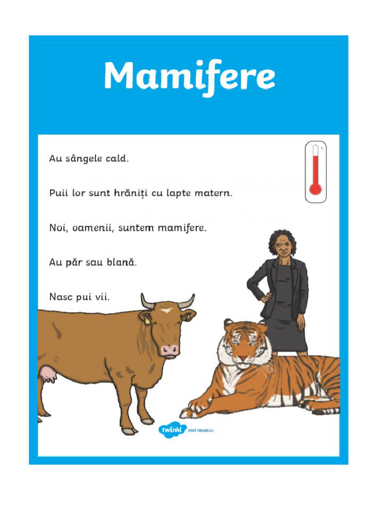 Animale | PDF
