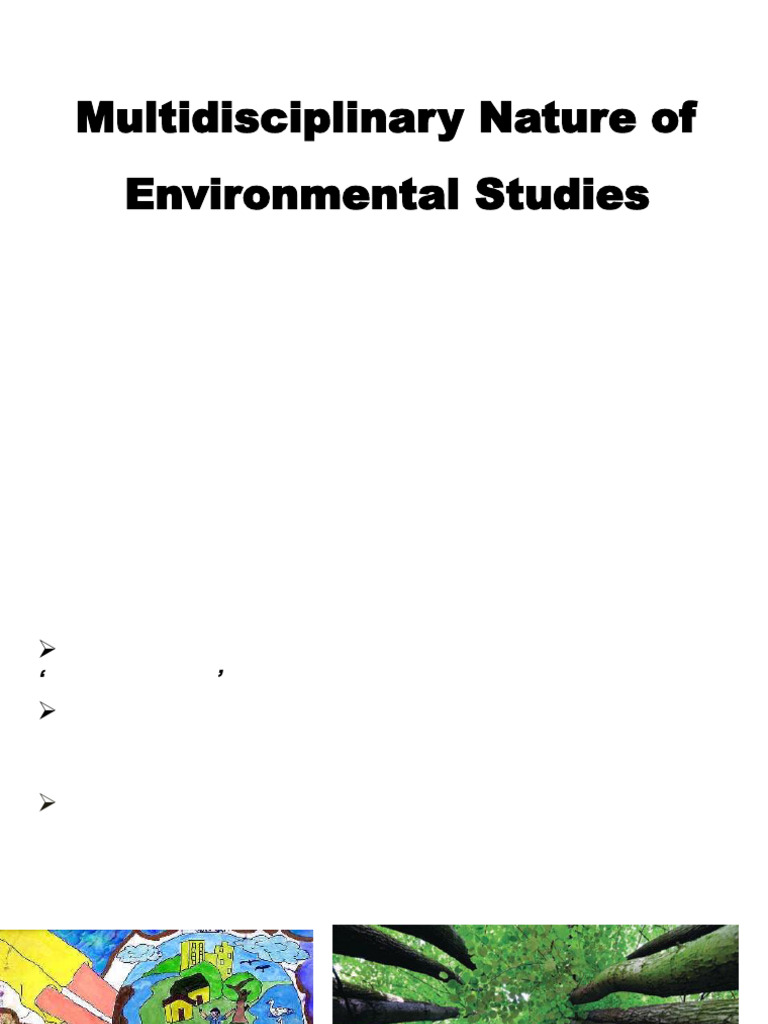 S 1 Environment and Its Multidisciplinary Nature | PDF | Natural ...