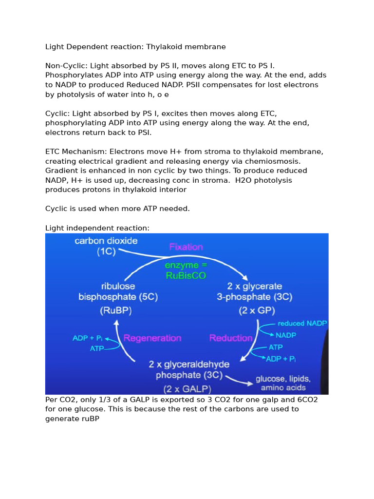 Light Dependent reaction | PDF