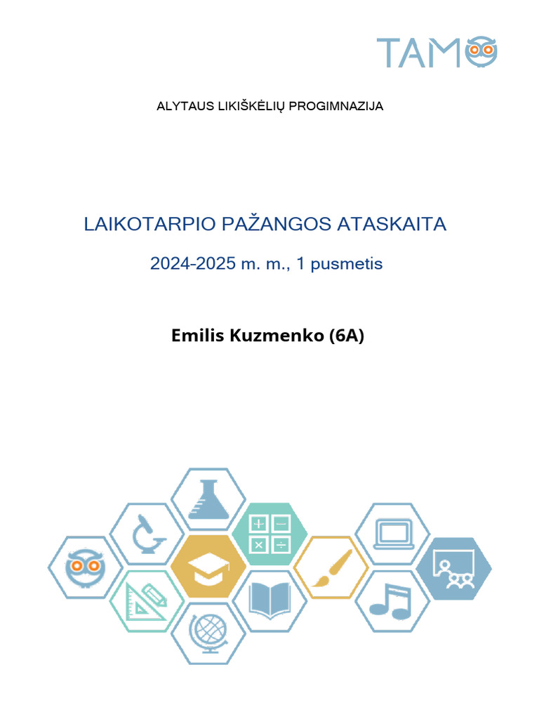 Laikotarpio Pažangos Ataskaita - 20250524143215 | PDF