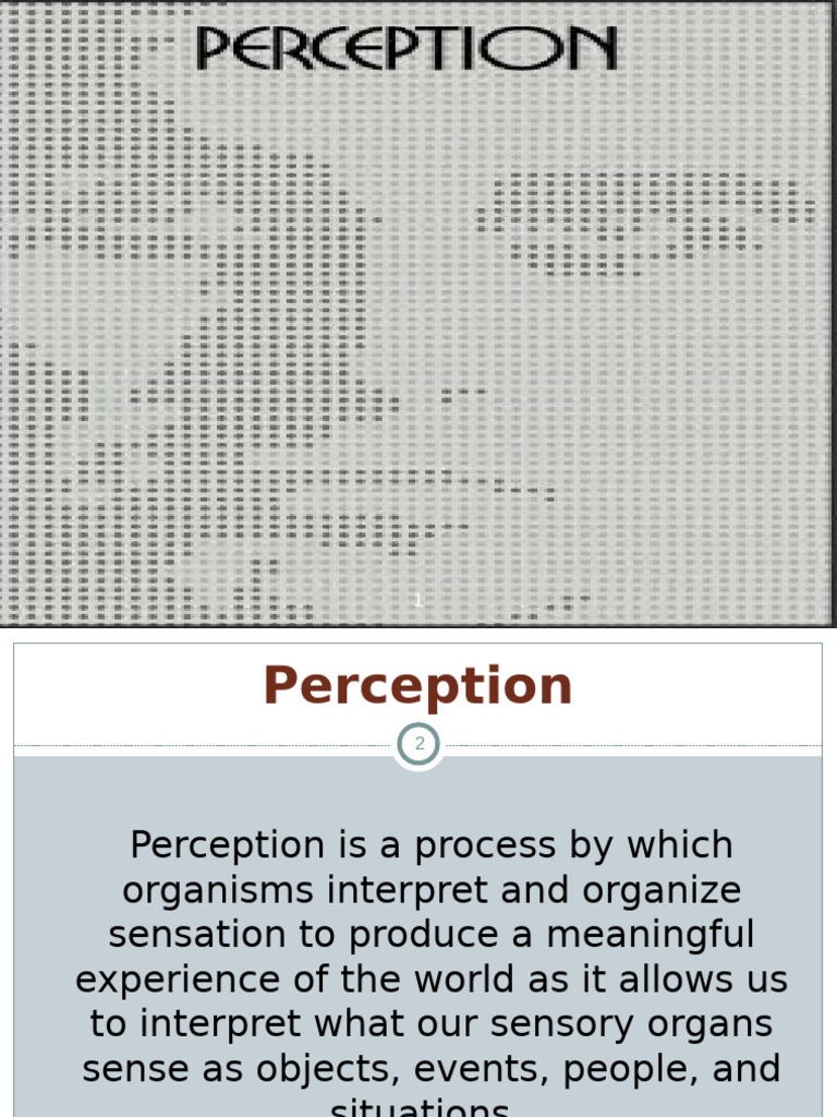 Chapter#4. Perception. | PDF | Perception | Senses