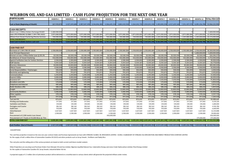 Wilbron Oil Gas Cash Flow Projection | PDF | Petroleum | Natural Gas