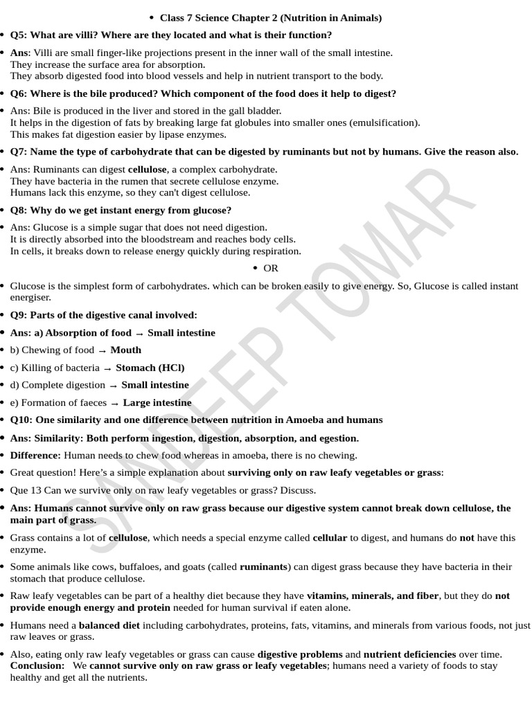 Class 7 Science Chapter 2 (Nutrition in Animals) | PDF | Digestion | Foods