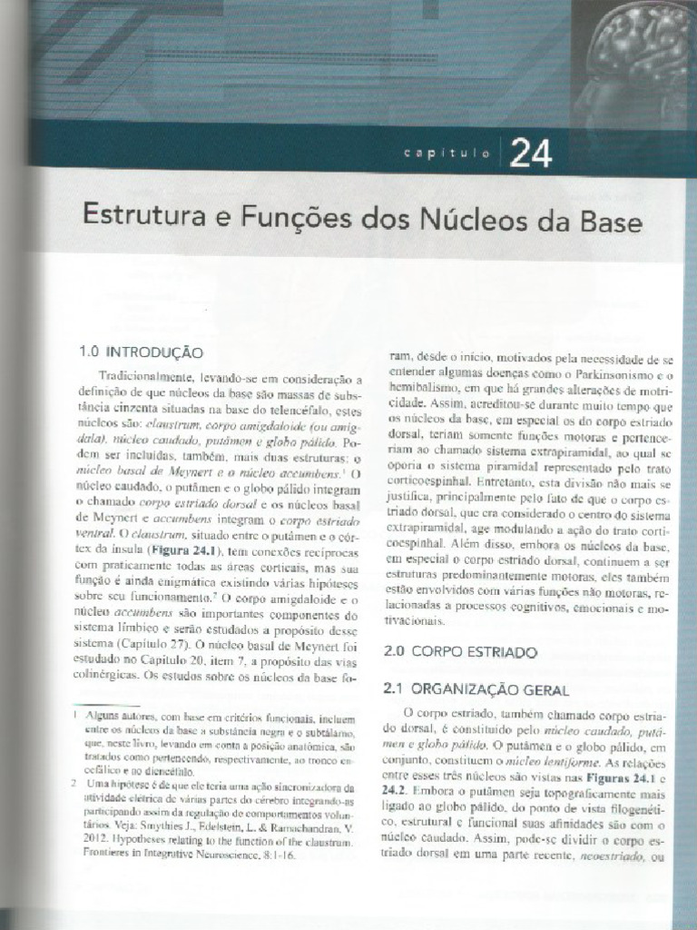 Neuroanatomia Funcional - Núcleos Da Base | PDF