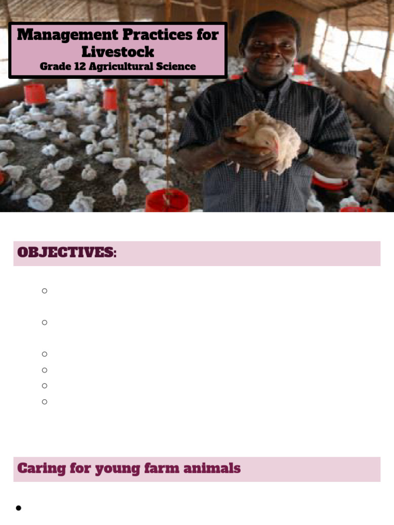 Management Practices For Livestock | PDF | Influenza | Livestock