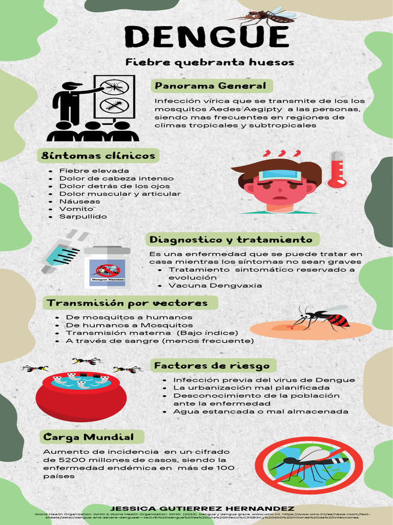 Infografia Dengue | PDF