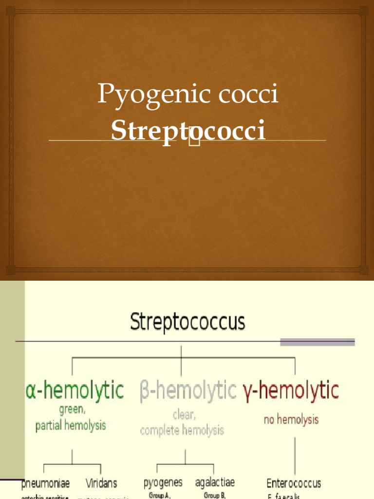 Strep. Agalactiae Dr. Amna 4-1-24 | PDF | Streptococcus | Immunology