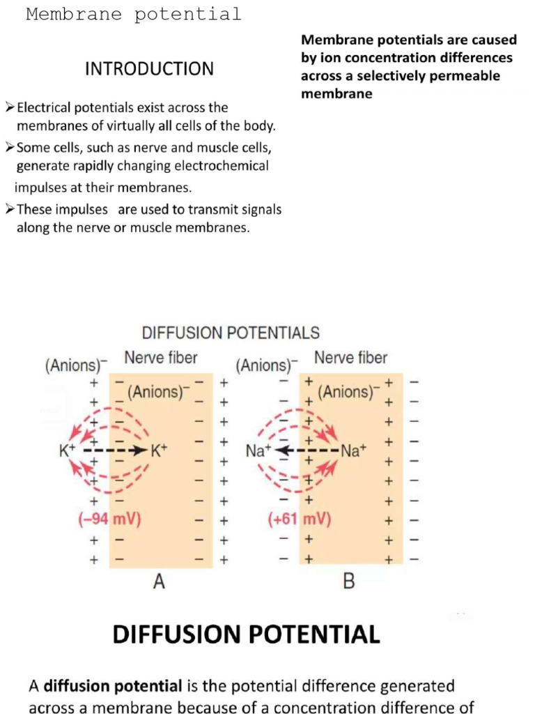 Membrane and Over Potential | PDF