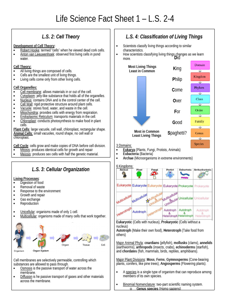 7th Grade Science Fact Sheets | PDF | Cell (Biology) | Dominance (Genetics)