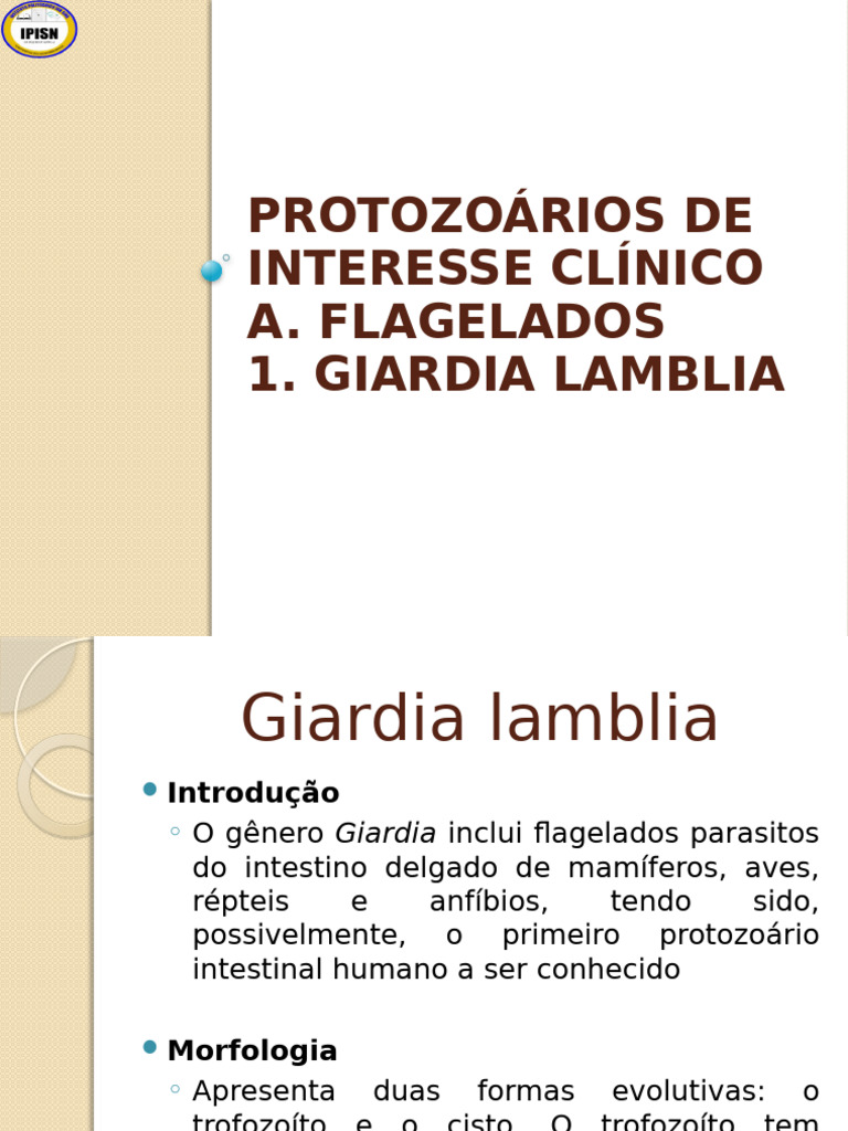 Protozoários de Interresse Clínico | PDF | Leishmania | Plasmodium