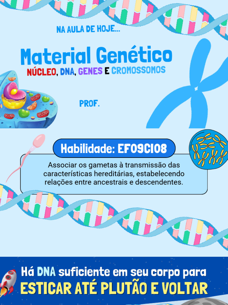 1 Material Genético Núcleo, DNA, Genes, Cromossomos | PDF | RNA | DNA