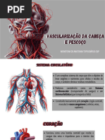 Anatomia da Irrigação e Inervação Facial | PDF | Anatomia humana ...