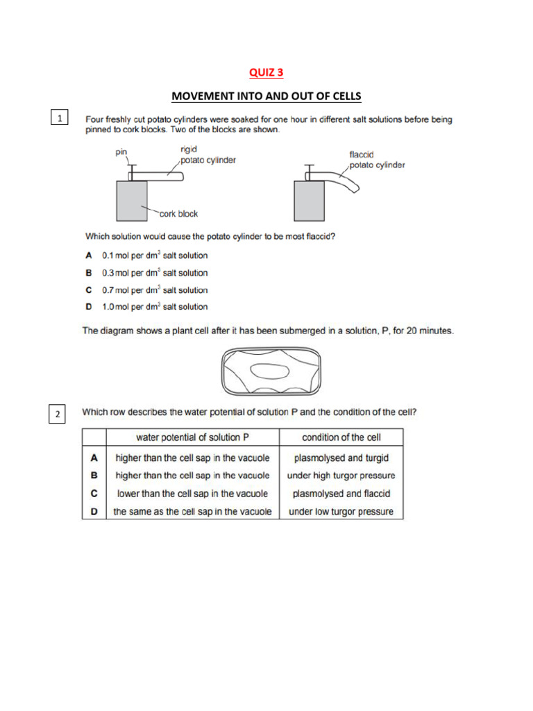 Quiz Movemnt Into and Out of Cells | PDF