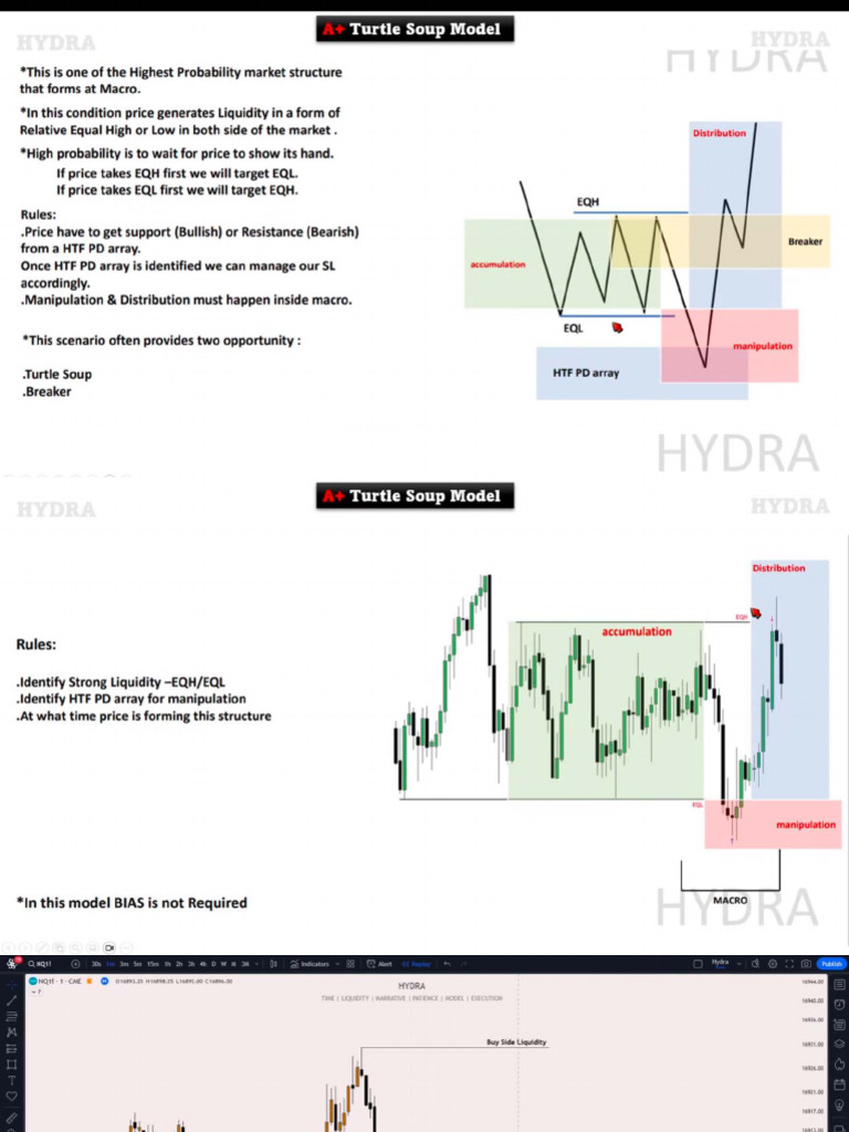 Hydra-Turtle Soup Entry Model | PDF