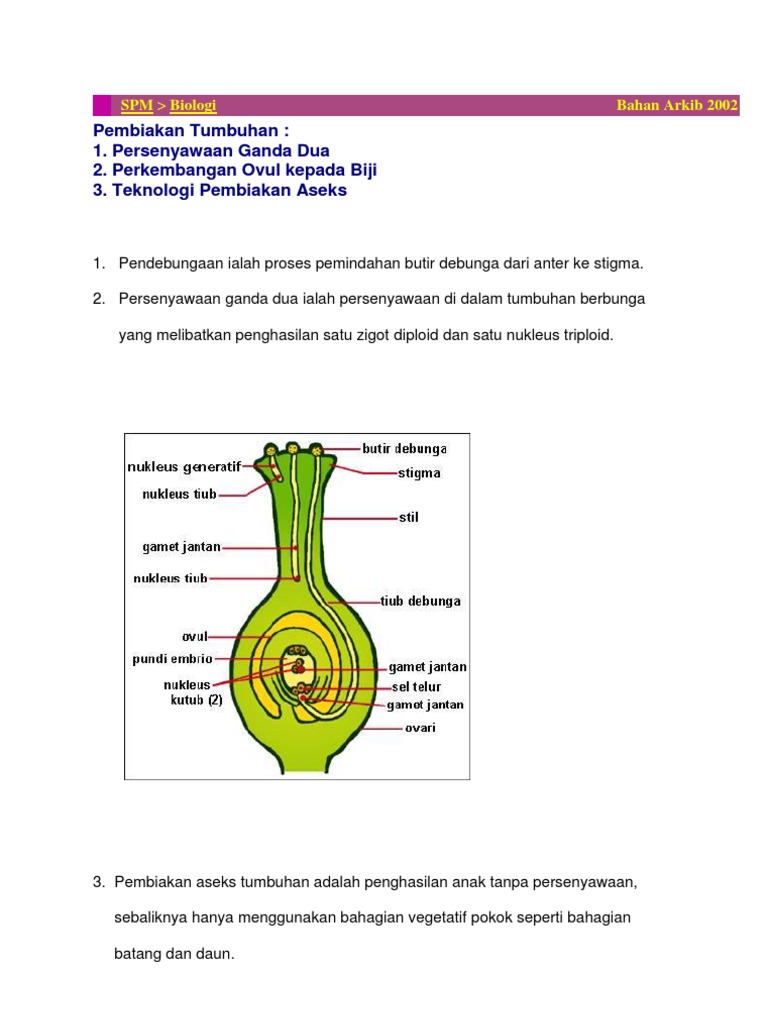 Proses Persenyawaan Ganda 2 | PDF
