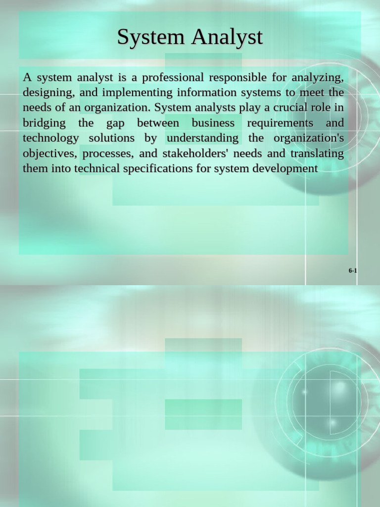 Role of a System Analyst Explained | PDF