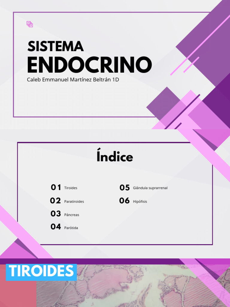 SEndocrino. Laminillas de Laboratorio para Presentación y Complemento de Imágenes Del Libro de ...