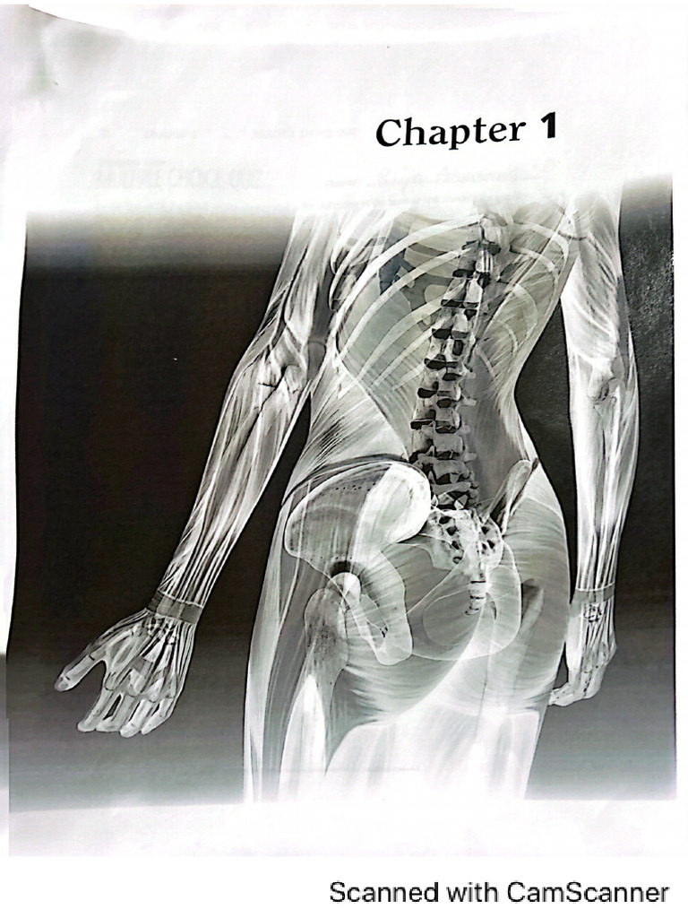 Chapter 1 Answer Key | PDF