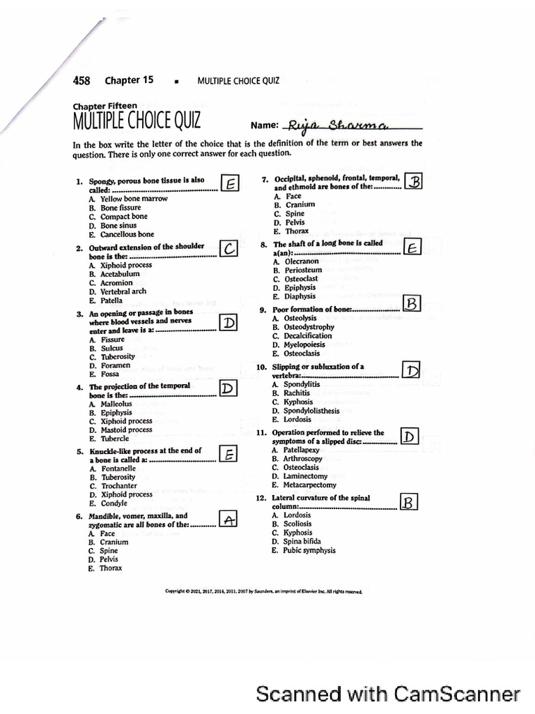 Chapter 15 Assignment Pdf 3128