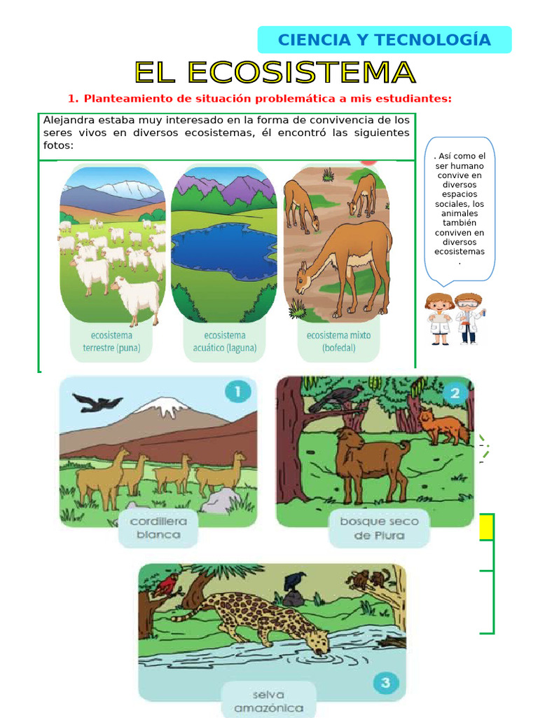 Ficha Ciencia-El Ecosistema | PDF | Ecosistema | Science