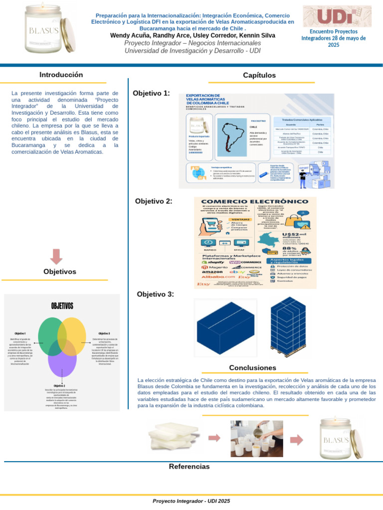 Póster Proyecto Integrador - Blasus | PDF | Business | Economias
