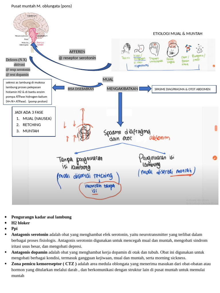 Pusat Muntah M | PDF