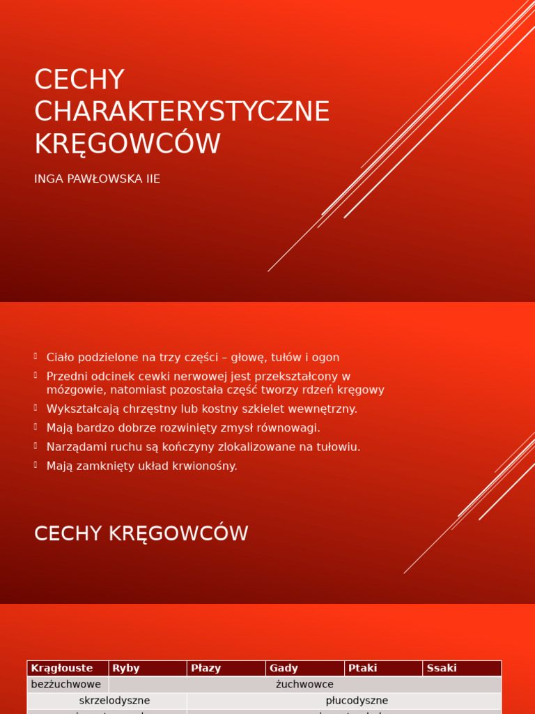 Cechy Charakterystyczne Kręgowców | PDF