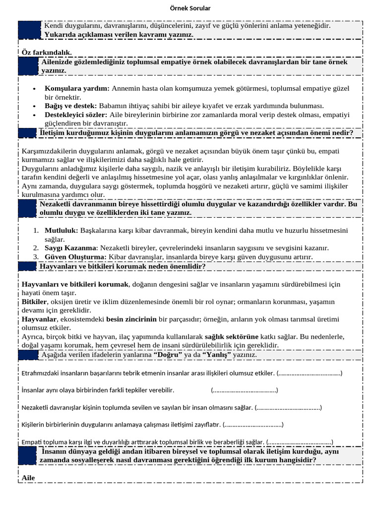 Örnek Sorular | PDF