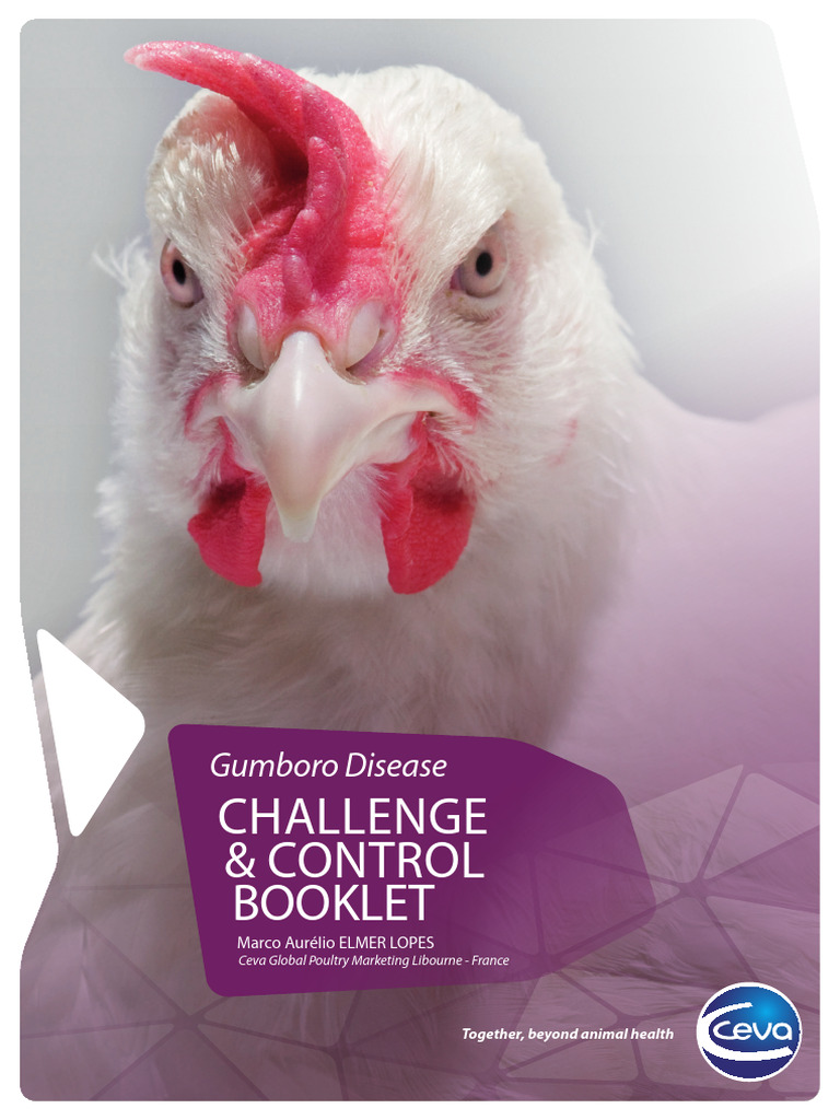 Gumboro Disease Control in Poultry | PDF | Vaccines | Immunology