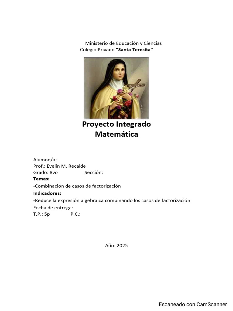 Proyecto Integrado Matem-Tica 1er Periodo | PDF