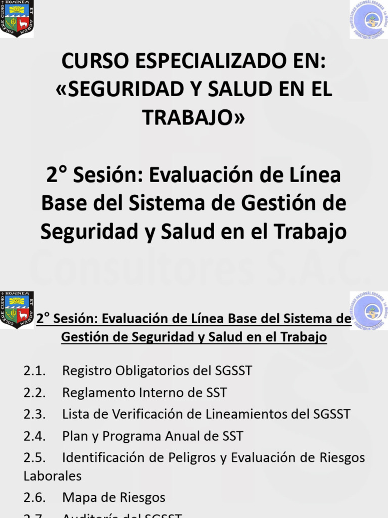 02 - Evaluación de Linea Base Del SGSST | PDF | Seguridad y salud ...