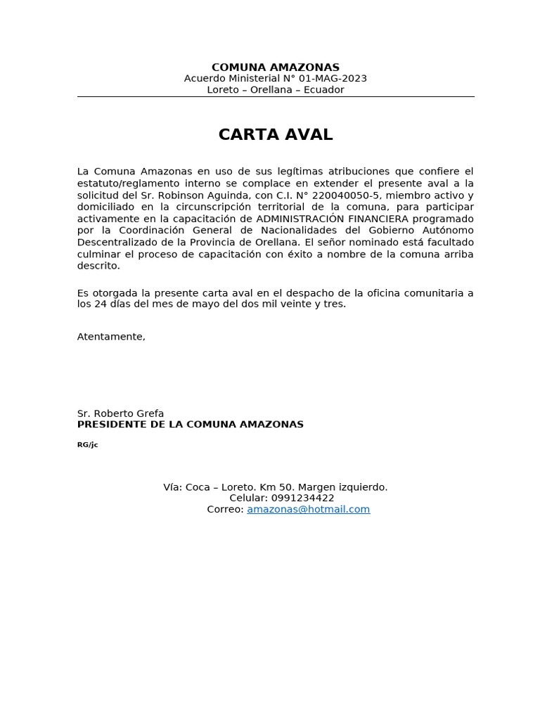 Modelo de Carta Aval | PDF