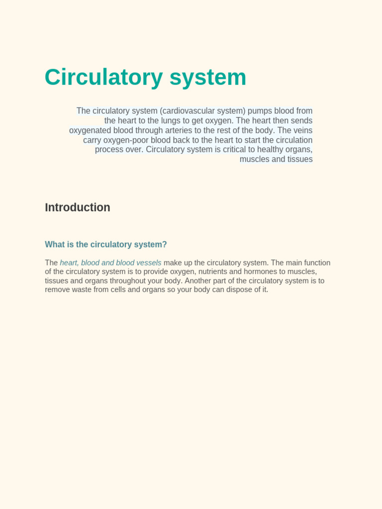 Essay Circulatory System | PDF | Circulatory System | Artery