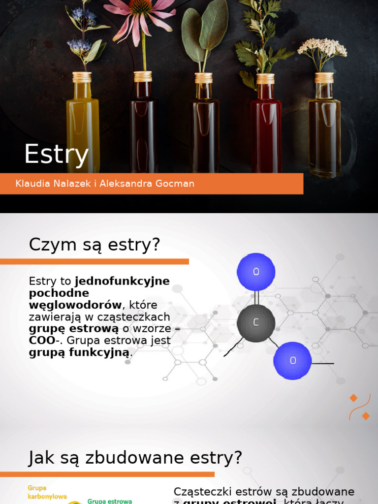 Estry | PDF