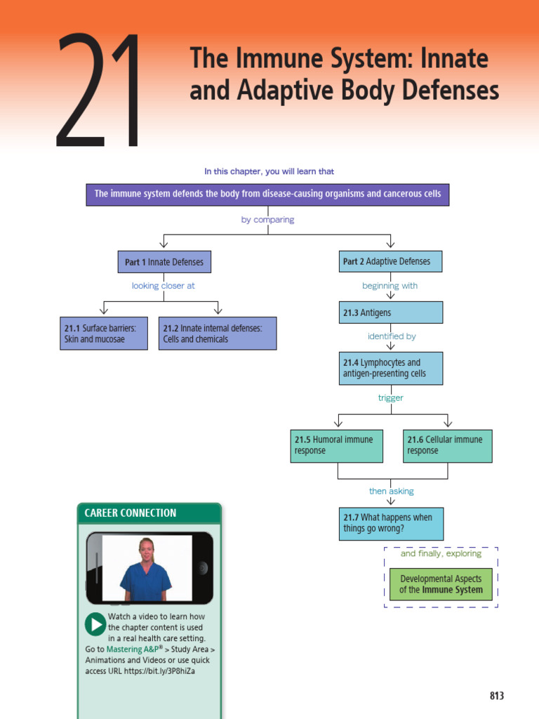 Immune System | PDF | Inflammation | Innate Immune System