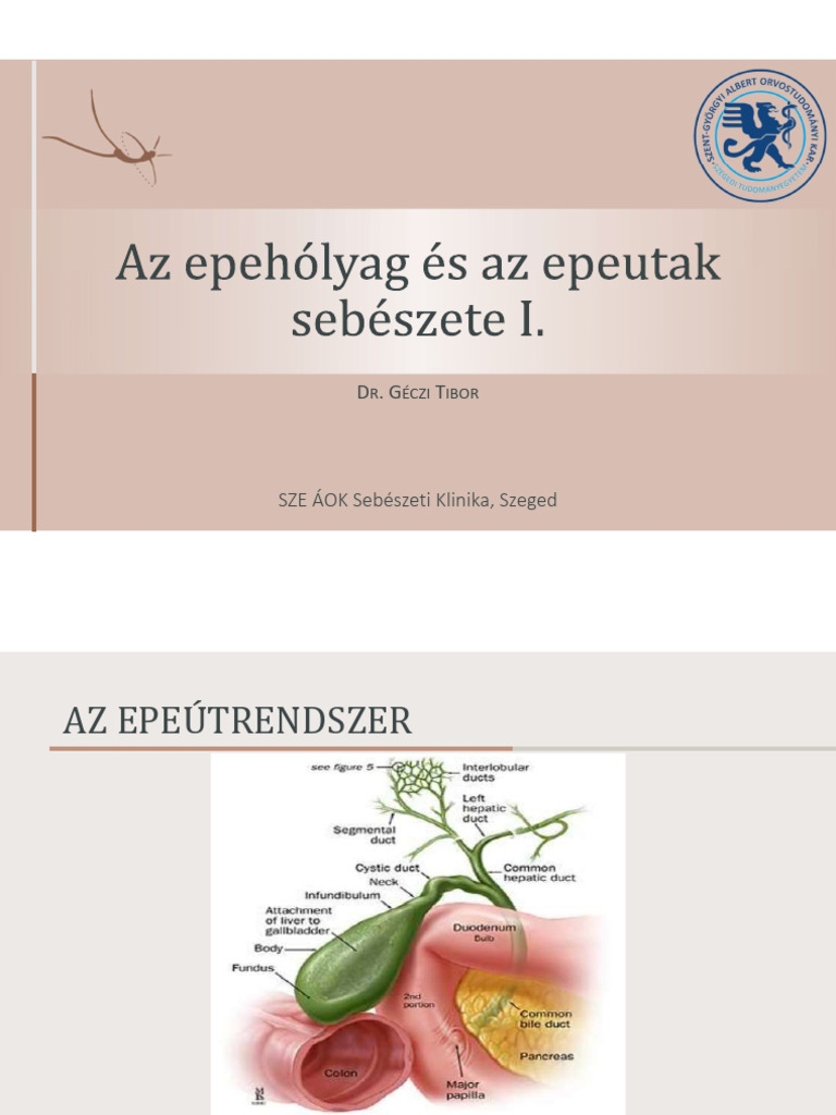 Az Epehólyag És Az Epeutak Sebészete I. | PDF