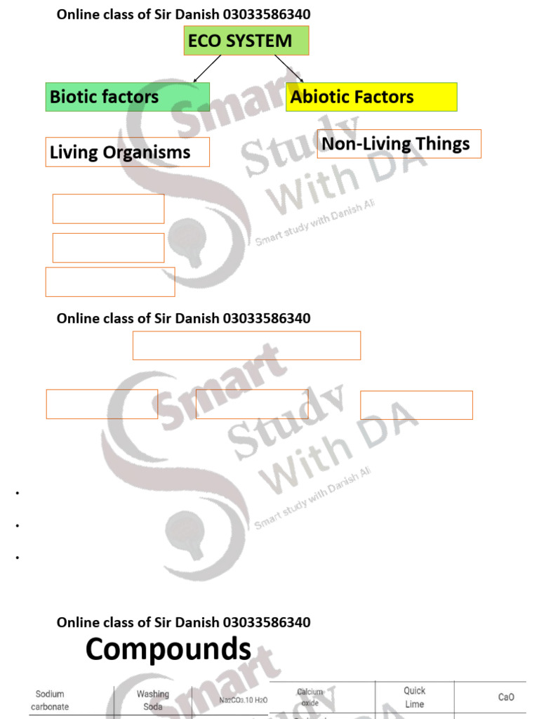 Explanation Mock Test 2 | PDF