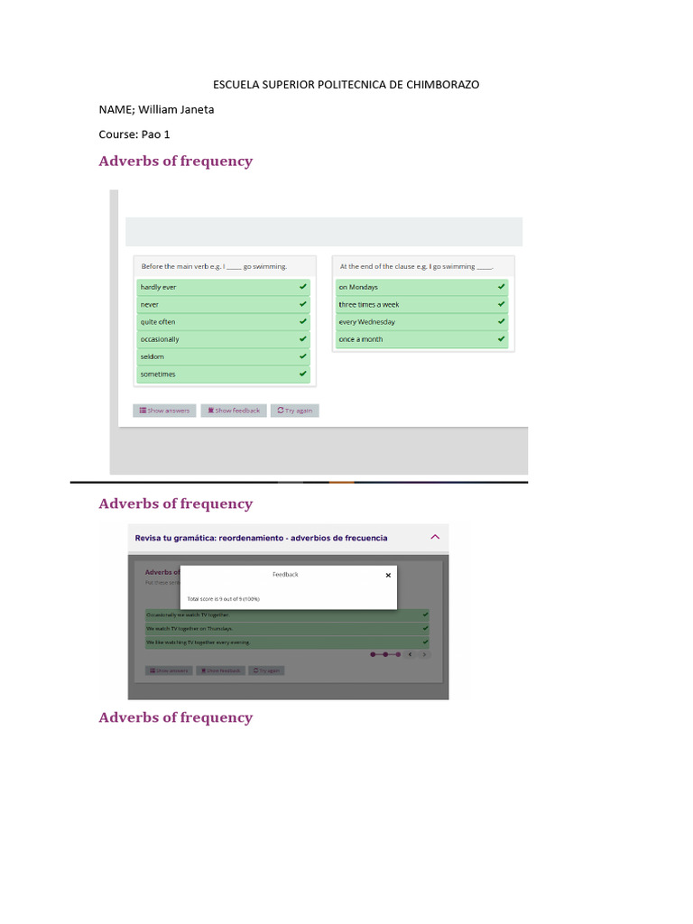 William Janeta - Frequency Adverbs | PDF