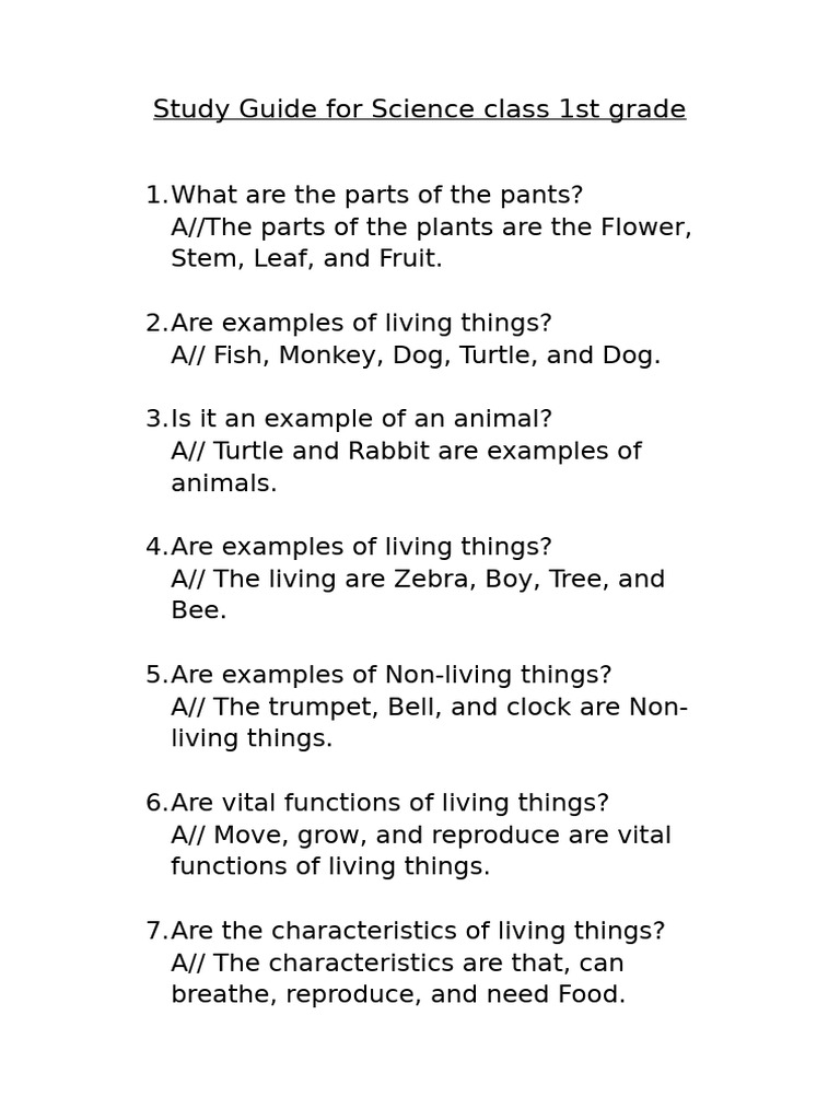 Study Guide For Science Class 1st Grade | PDF