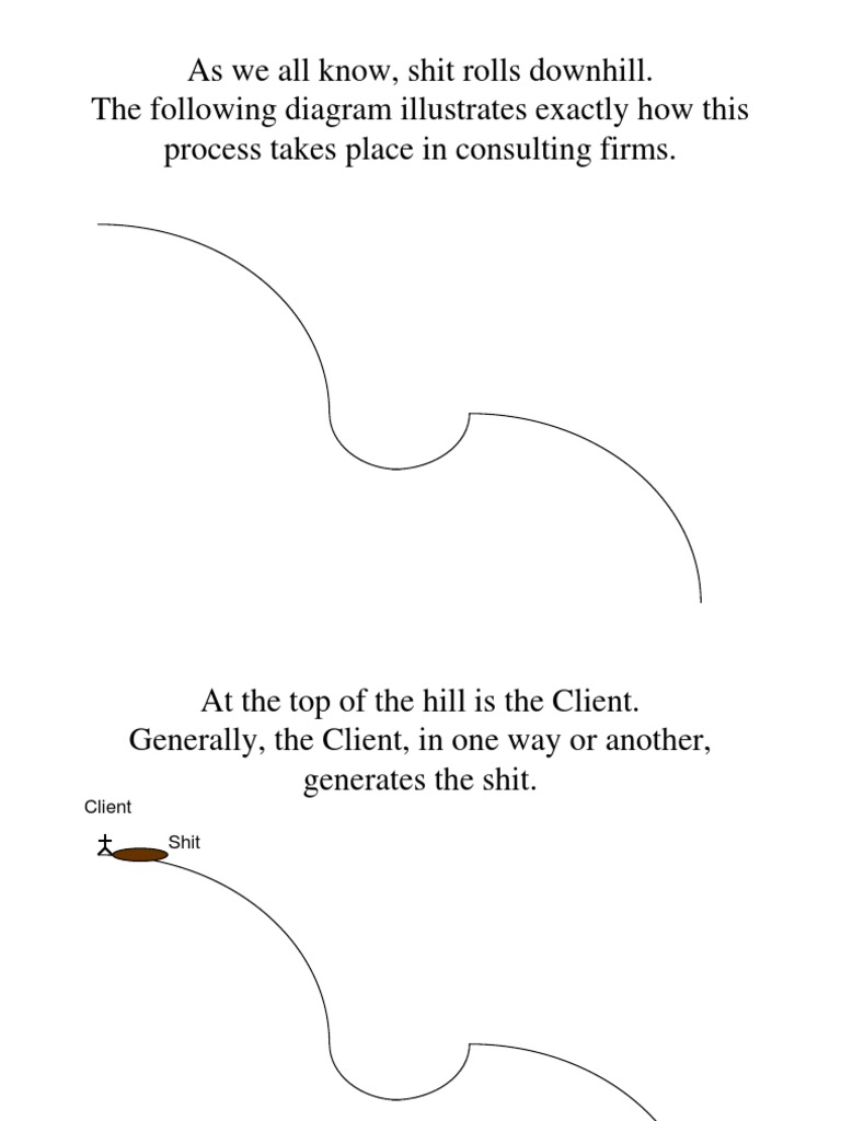 Consulting's Shit Roll Diagram | PDF