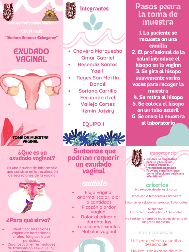 Exudado vaginal y clamidia: guía de toma | PDF | Infección transmitida ...