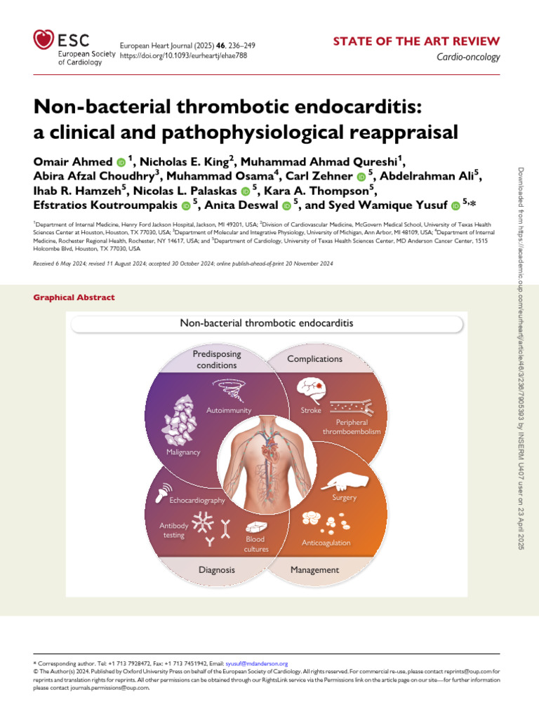 Endocardite Non Infectieuse EHJ 2024 | PDF | Endothelium | Thrombosis