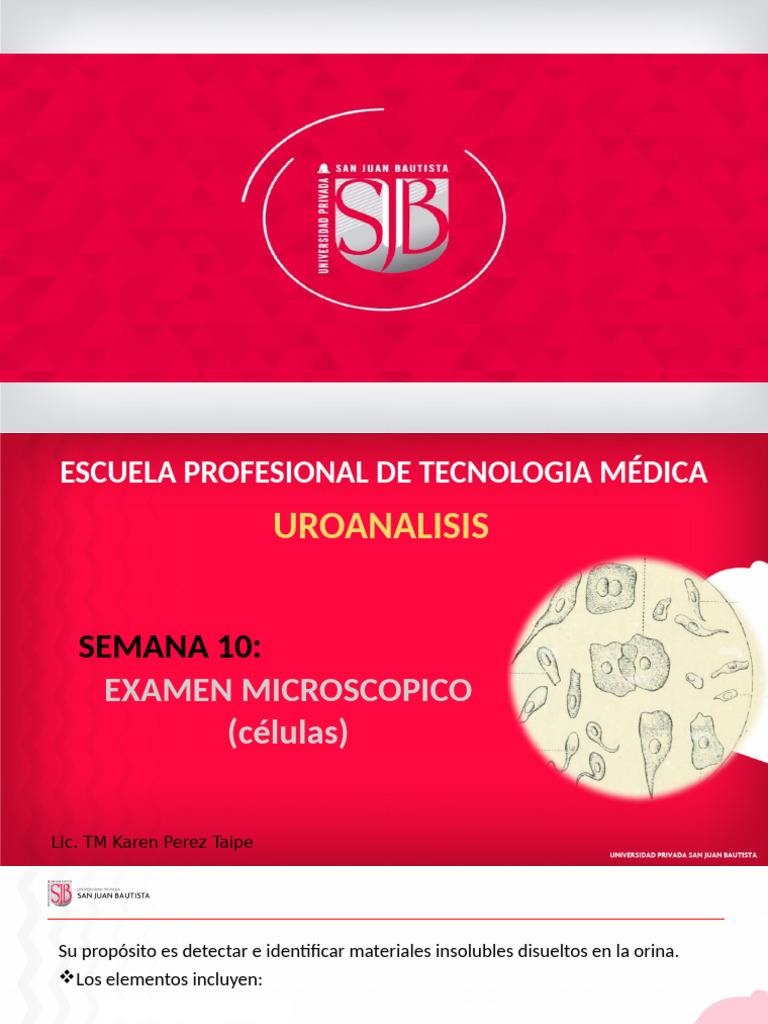 10 Examen Microscopico (CELULAS) - 013046 | PDF | Epitelio | Anatomía
