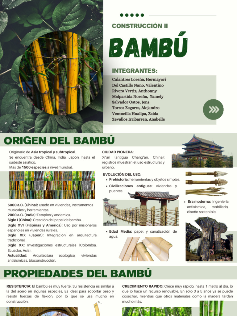Usos y Tipos de Bambú en Construcción | PDF | Tallo de la planta | Columna