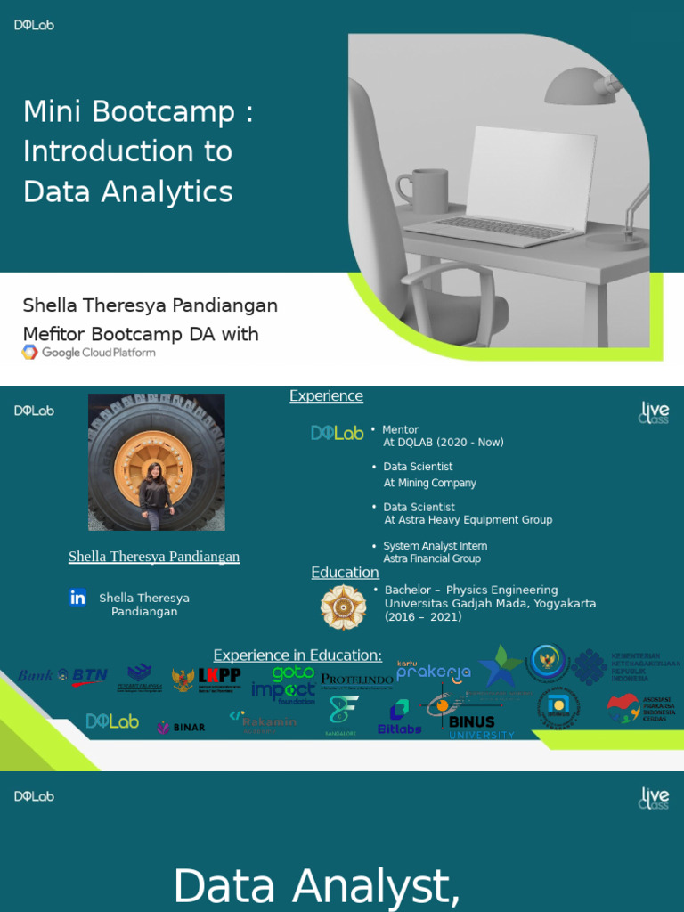 Profil Shella Theresya Pandiangan | PDF