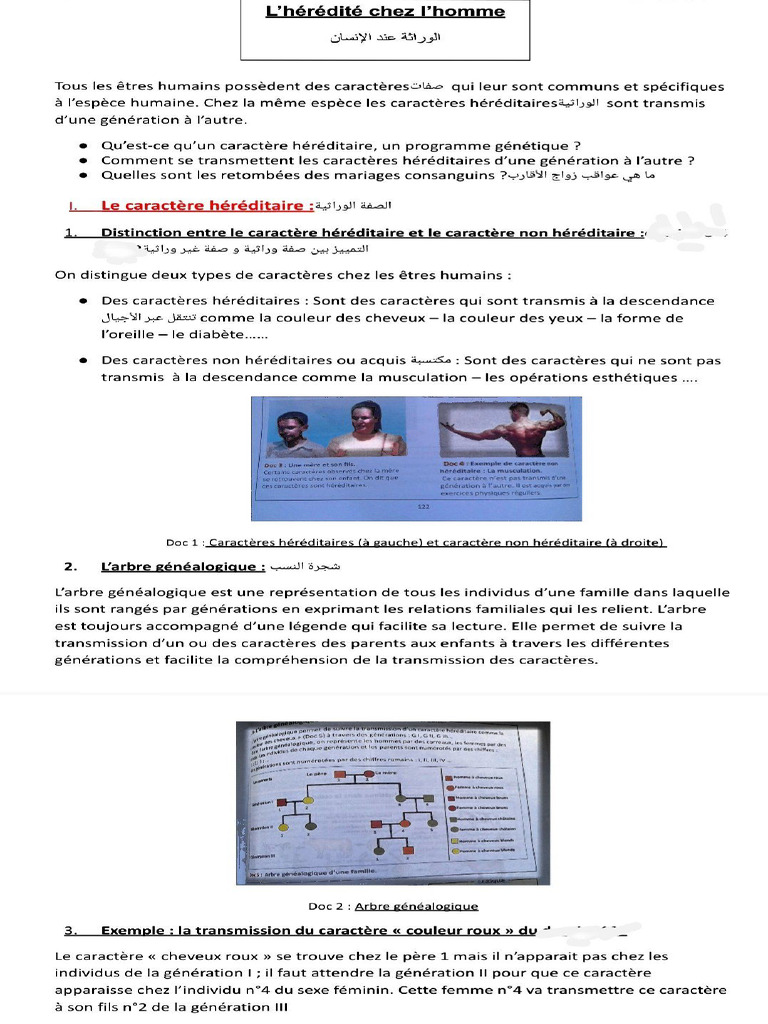 L-Hérédité Chez L-Homme | PDF
