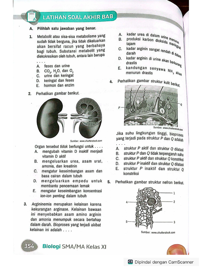 Latihan Soal II -Sistem Koordinasi | PDF