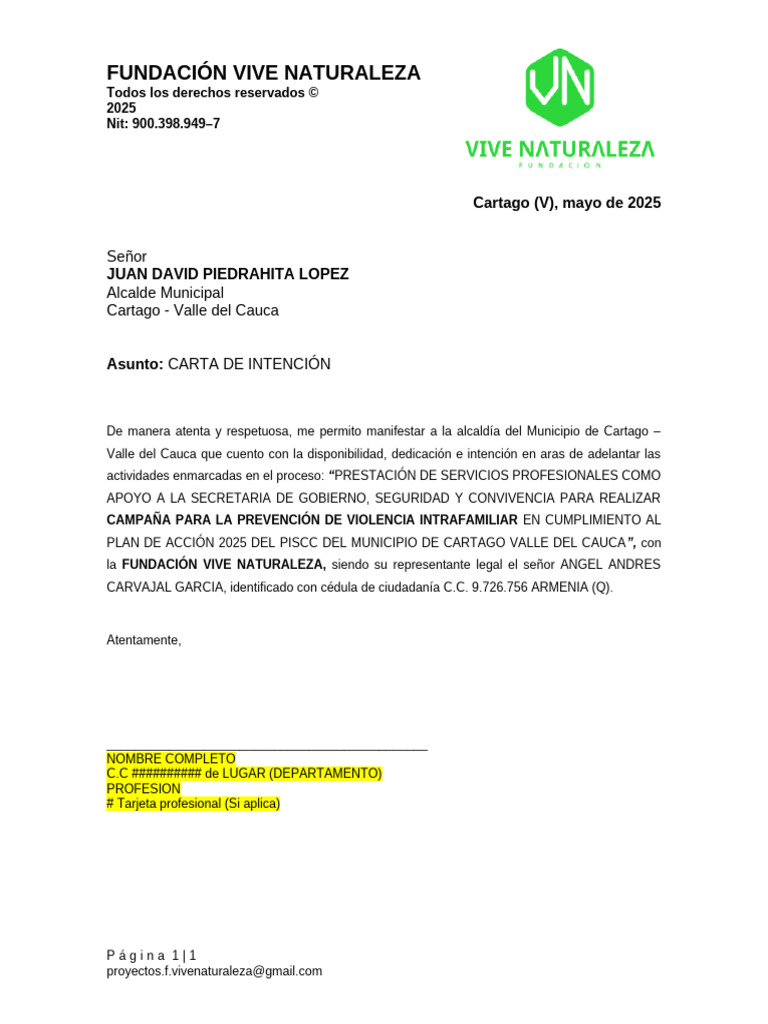 01 Formato Carta de Intencion 2025 - Piscc 1 | PDF